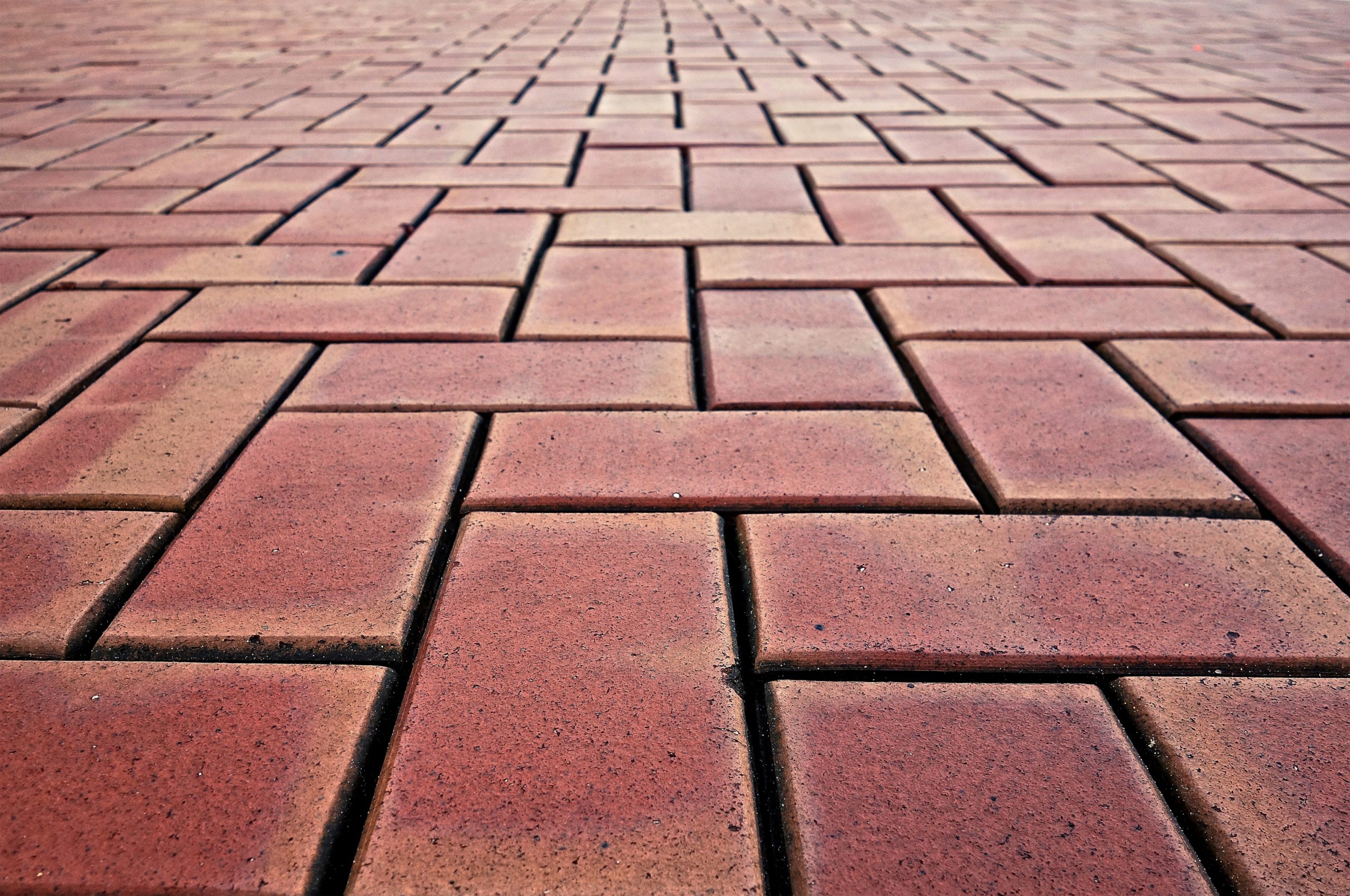 Information About Driveway Paving You Should Know | Entrepo