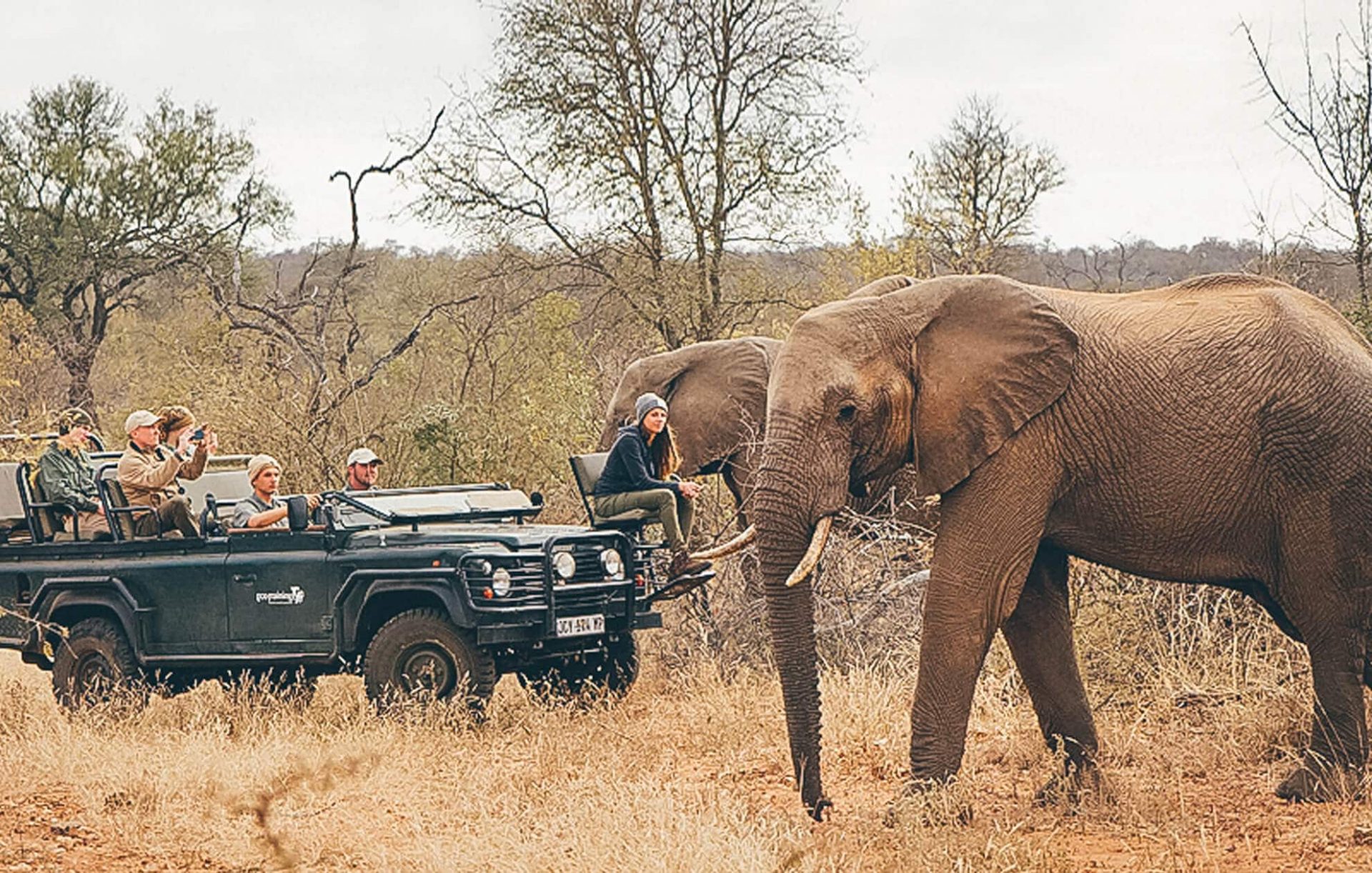 A Big 5 Safari In Kruger National Park - A Dangerous Business | Entrepo